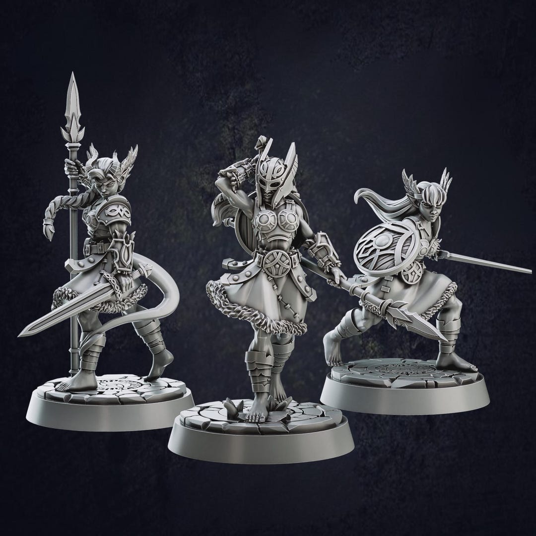 Female Valkyrie Barbarians D&D RPG Miniature Cast N Play (dungeons and ...
