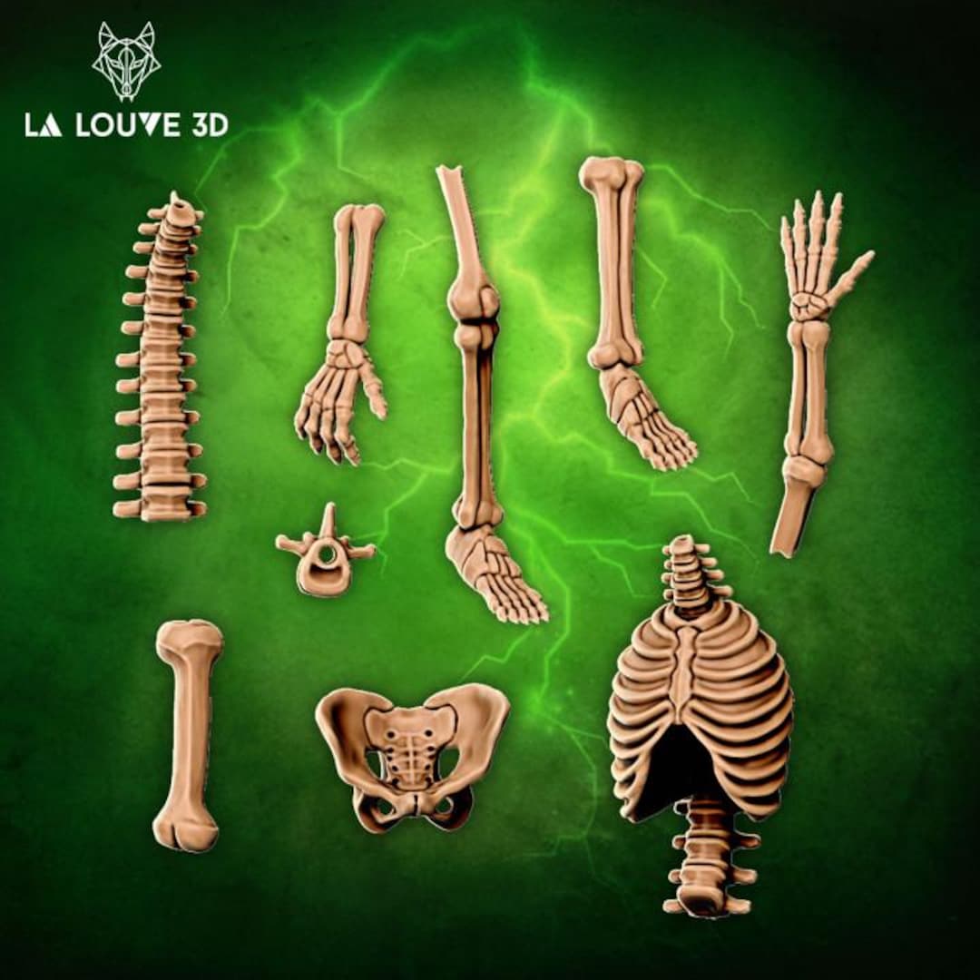 Skeleton Parts Scatter D&D RPG Miniature - La Louve 3D (dungeons and ...