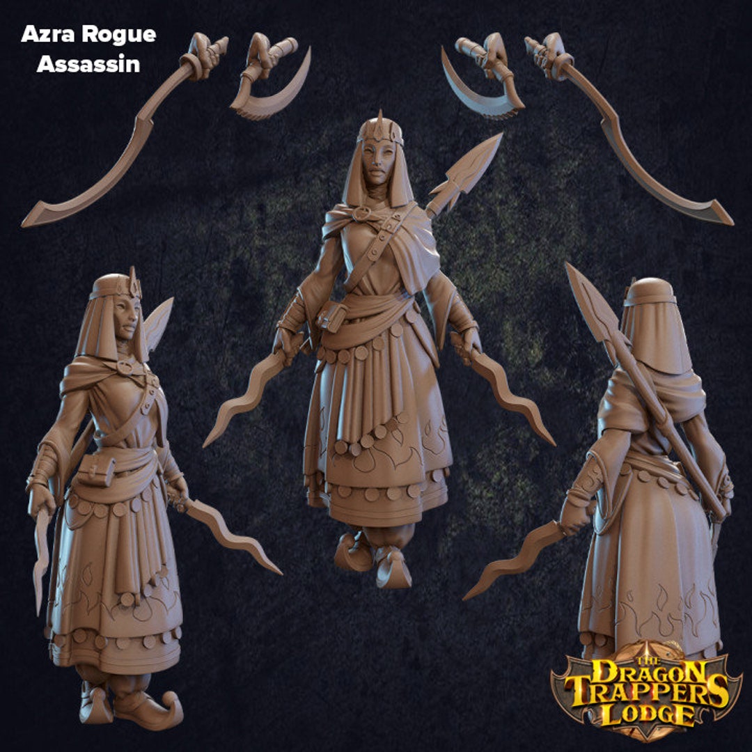 Female Human Assassin Azra - Dragon Trappers Lodge D&D RPG Miniatures ...