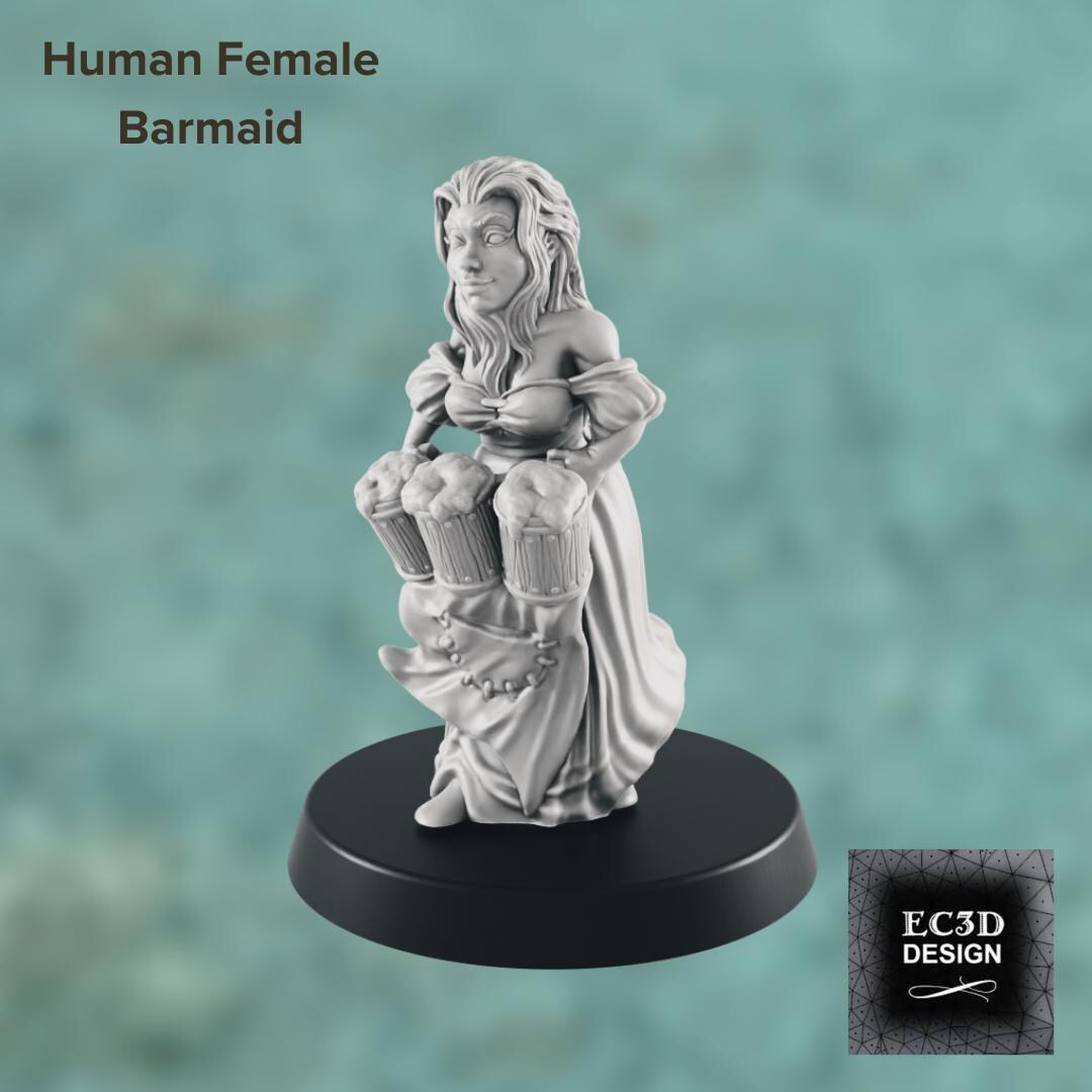 Human Female Barmaid Dnd RPG Miniature - Ec3d/hero's Hoard (dungeons ...