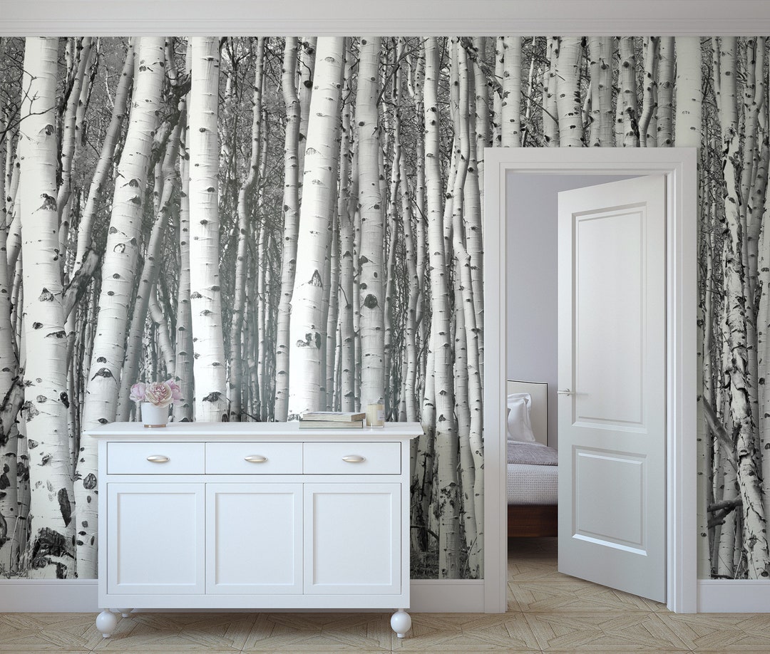 Birch Tree Forest Wallpaper, Black and White Trees Wall Mural • Peel ...