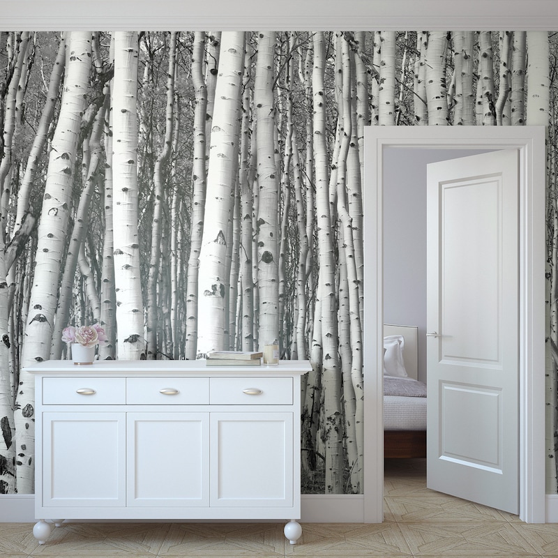 Birch Tree Wall Mural - Etsy