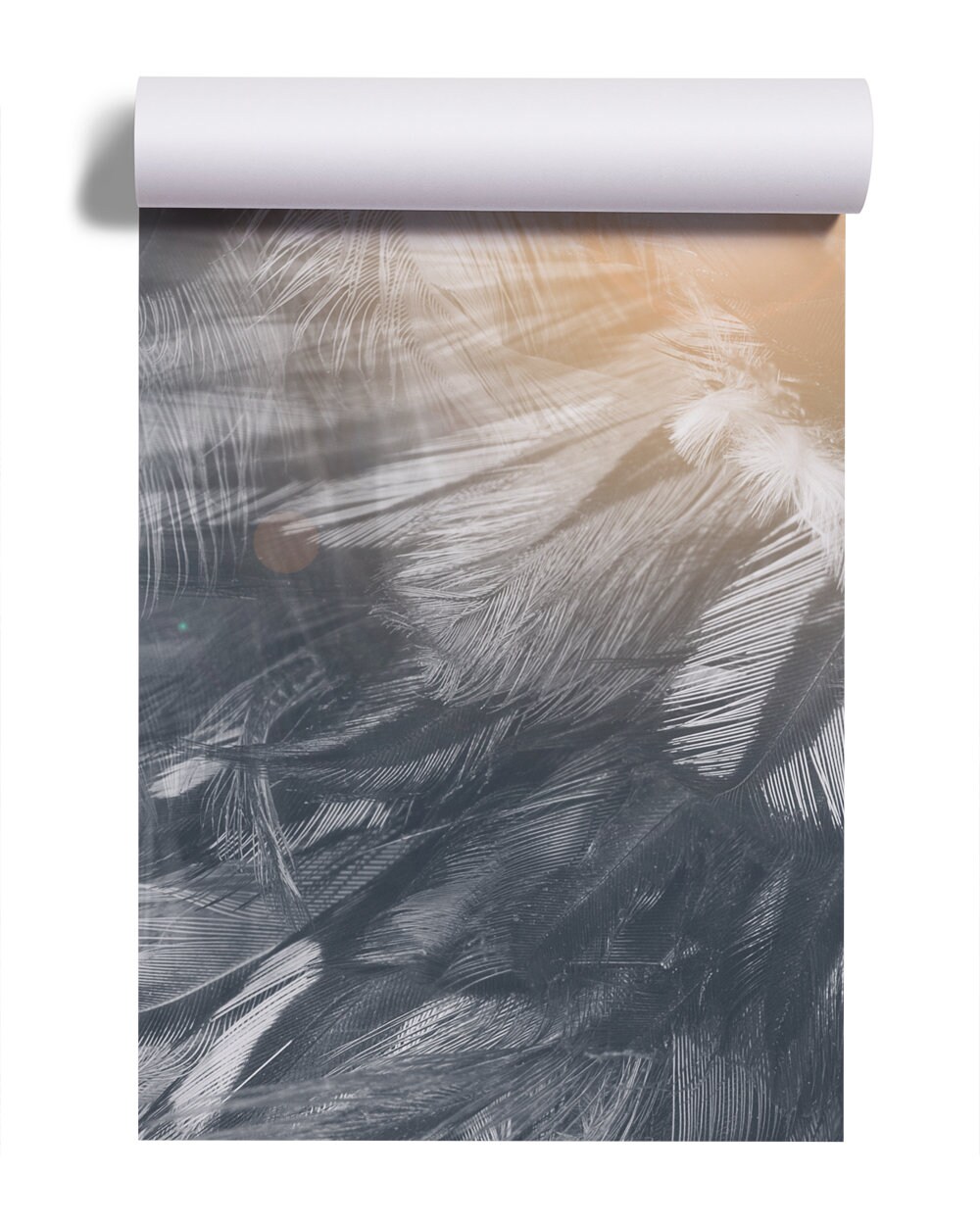 Gray Feathers Photo Wallpaper Self Adhesive Peel & Stick | Etsy