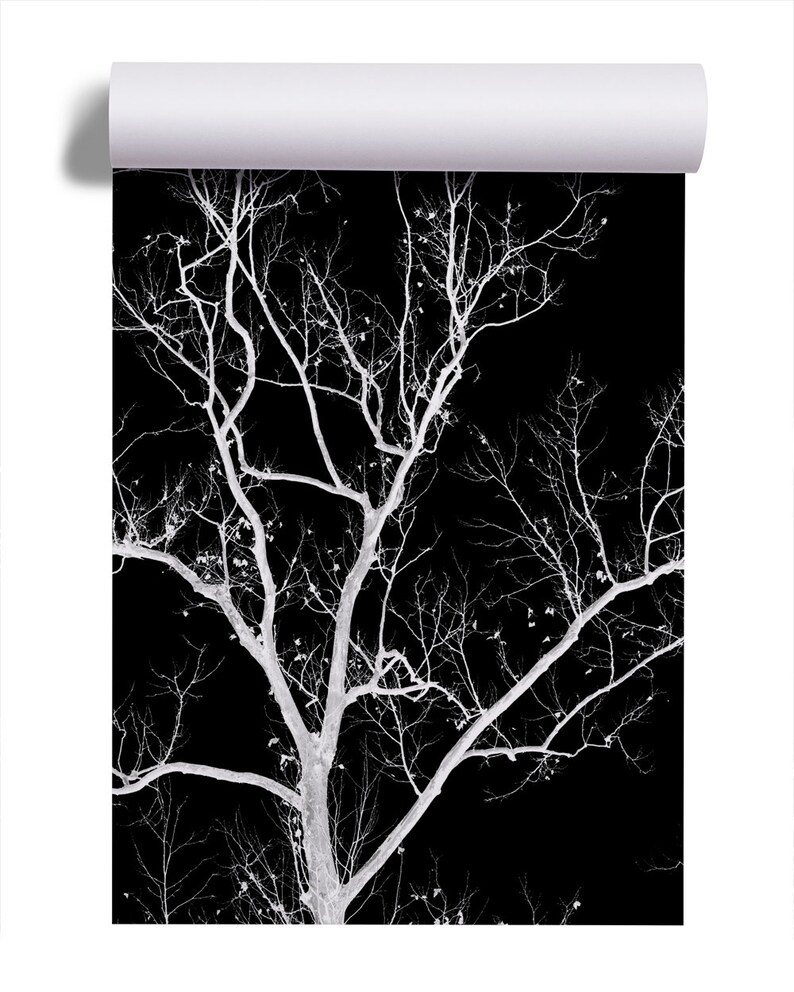 Black and White Reversed Colors Tree Wallpaper Self Adhesive - Etsy