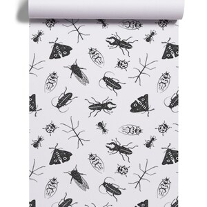 Black and White Hand Drawn Insects Wallpaper | Self Adhesive | Peel ...