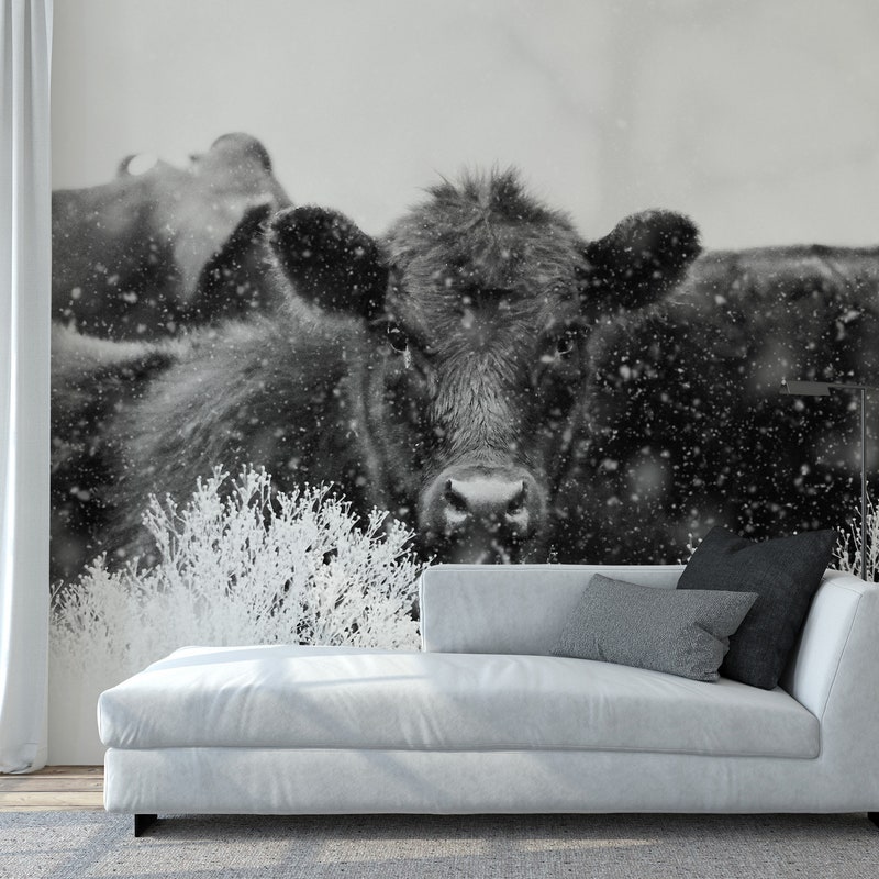 Cow Printed Wallpaper - Etsy