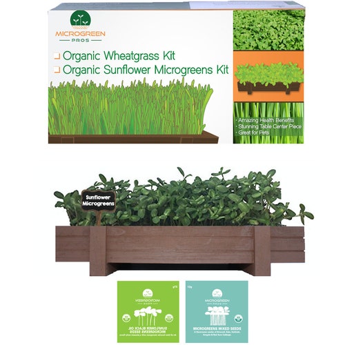 BIG Microgreen Growing Kit Universe in a BOX Four Micro | Etsy