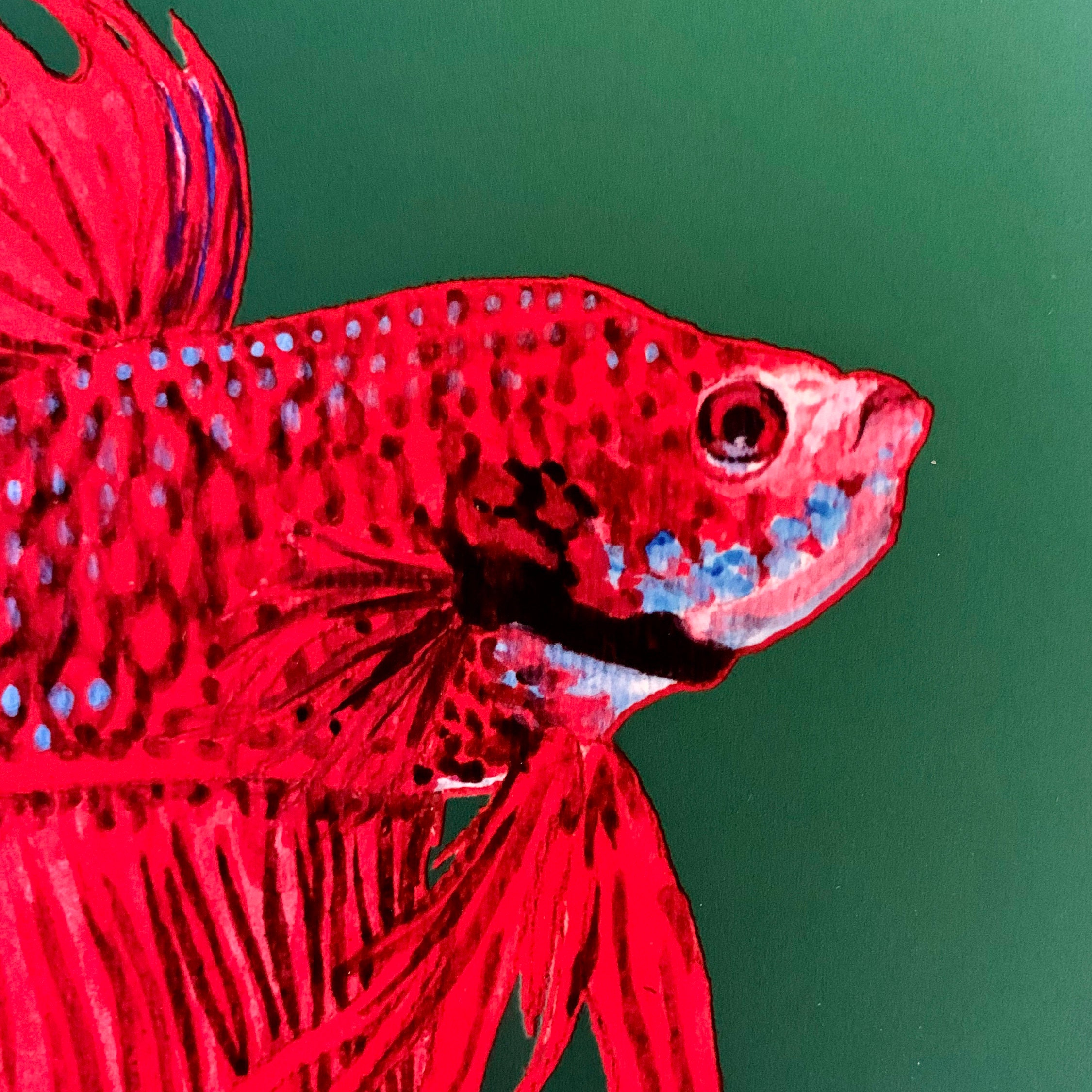 8 X 10 In. Betta Splendens Watercolour Print - Aquatic Animal Painting ...