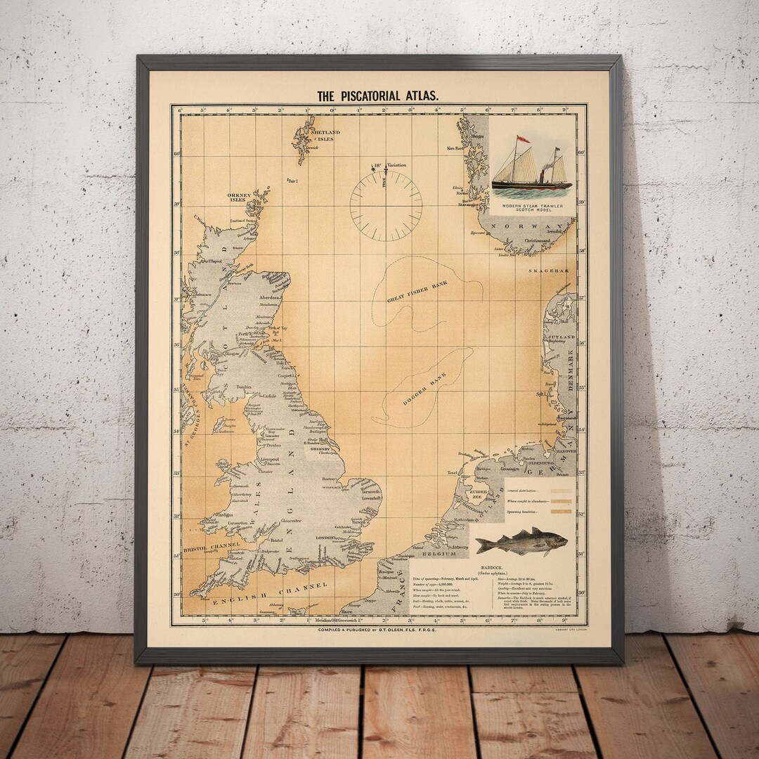 Old Haddock Fish Map of the North Sea, 1883 by O.T. Olsen - Haddock ...