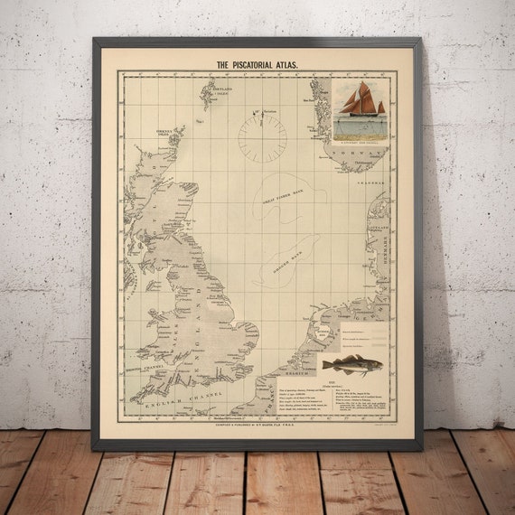 Old Cod Fish Map of the North Sea 1883 by O.T. Olsen Cod - Etsy