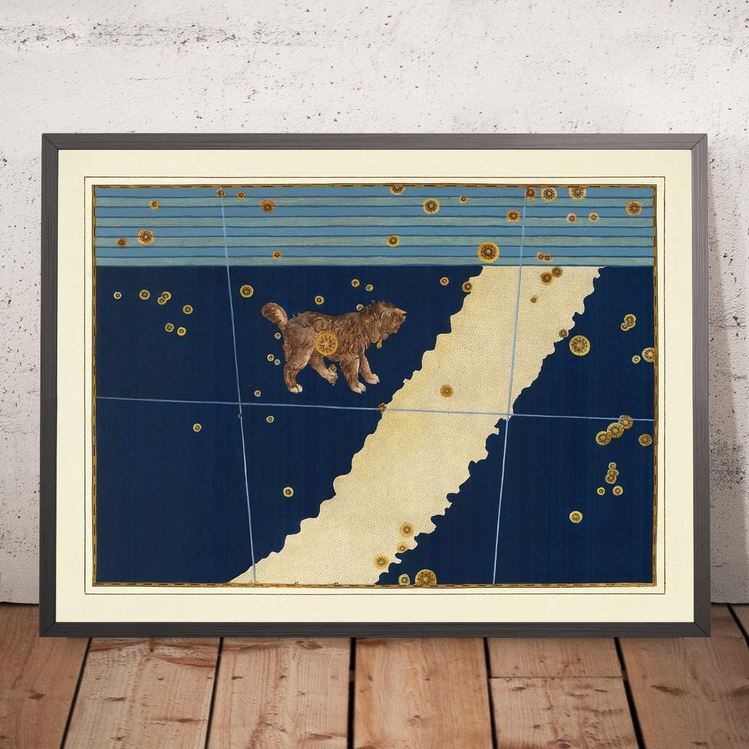 Old Star Map of Canis Minor (little Dog) by Johann Bayer, 1603 ...