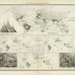 Old World Map of Reptile Distribution by Johnston, 1856: Snakes ...