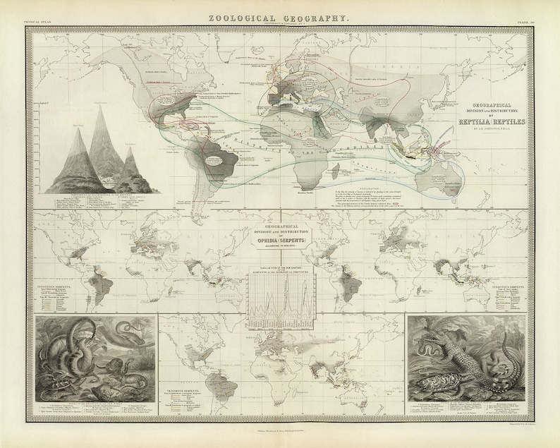Old World Map of Reptile Distribution by Johnston, 1856: Snakes ...