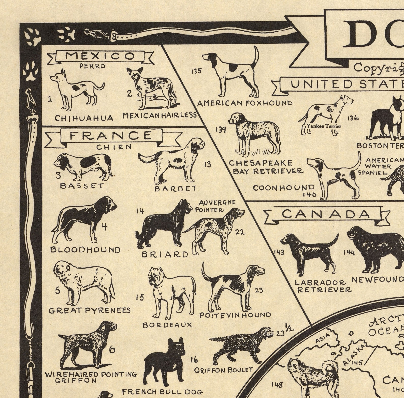 Old Dog Map 1936 World Atlas Chart of Breeds Terrier - Etsy UK