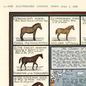 Old Horse Map, 1936 - Old World Atlas Chart, Origins of Breeds ...