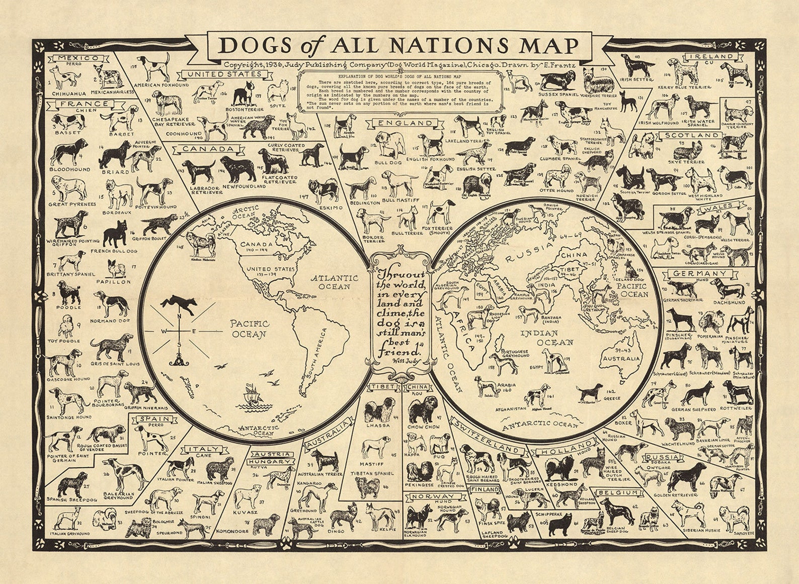 Old Dog Map 1936 World Atlas Chart of Breeds Terrier - Etsy