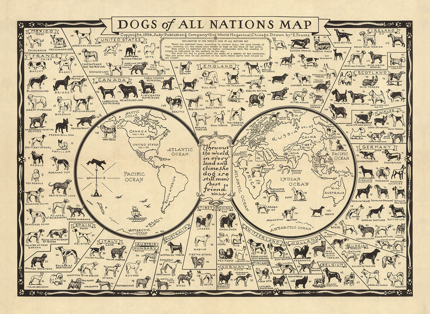 Old Dog Map, 1936 - World Atlas Chart of Breeds - Terrier, Bulldog, Pug ...