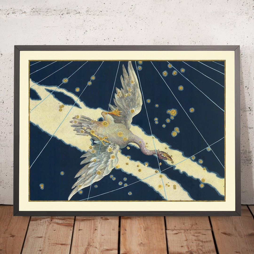 Old Star Map of Cygnus (the Swan) by Johann Bayer, 1603 - Celestial ...