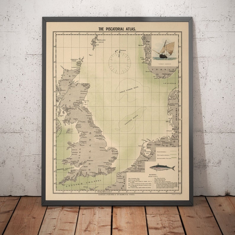 Old Mackerel Fish Map of the North Sea 1883 by O.T. Olsen - Etsy UK