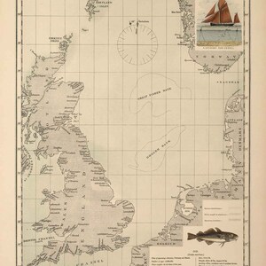 Old Cod Fish Map of the North Sea, 1883 by O.T. Olsen - Cod Fishing ...