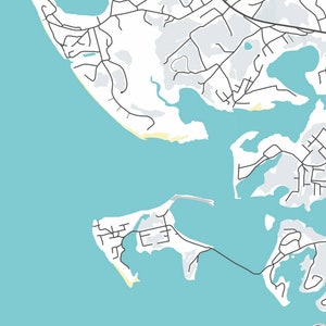 Modern City Map of Wellfleet, Massachusetts: Wellfleet Harbor, Duck ...