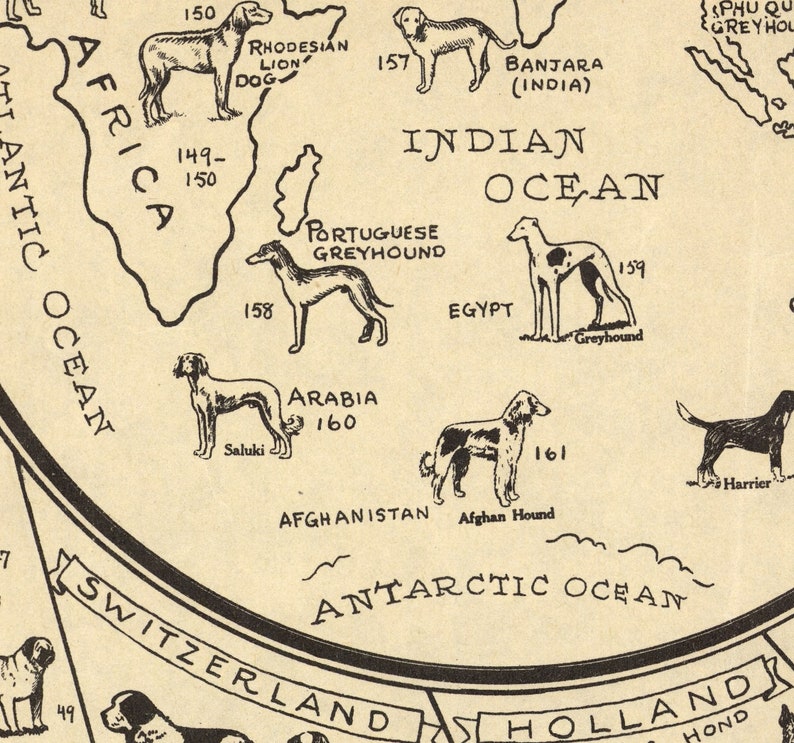 Old Dog Map, 1936 - World Atlas Chart of Breeds - Terrier, Bulldog, Pug ...