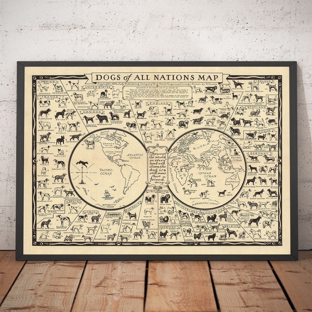 Old Dog Map, 1936 - World Atlas Chart of Breeds - Terrier, Bulldog, Pug ...