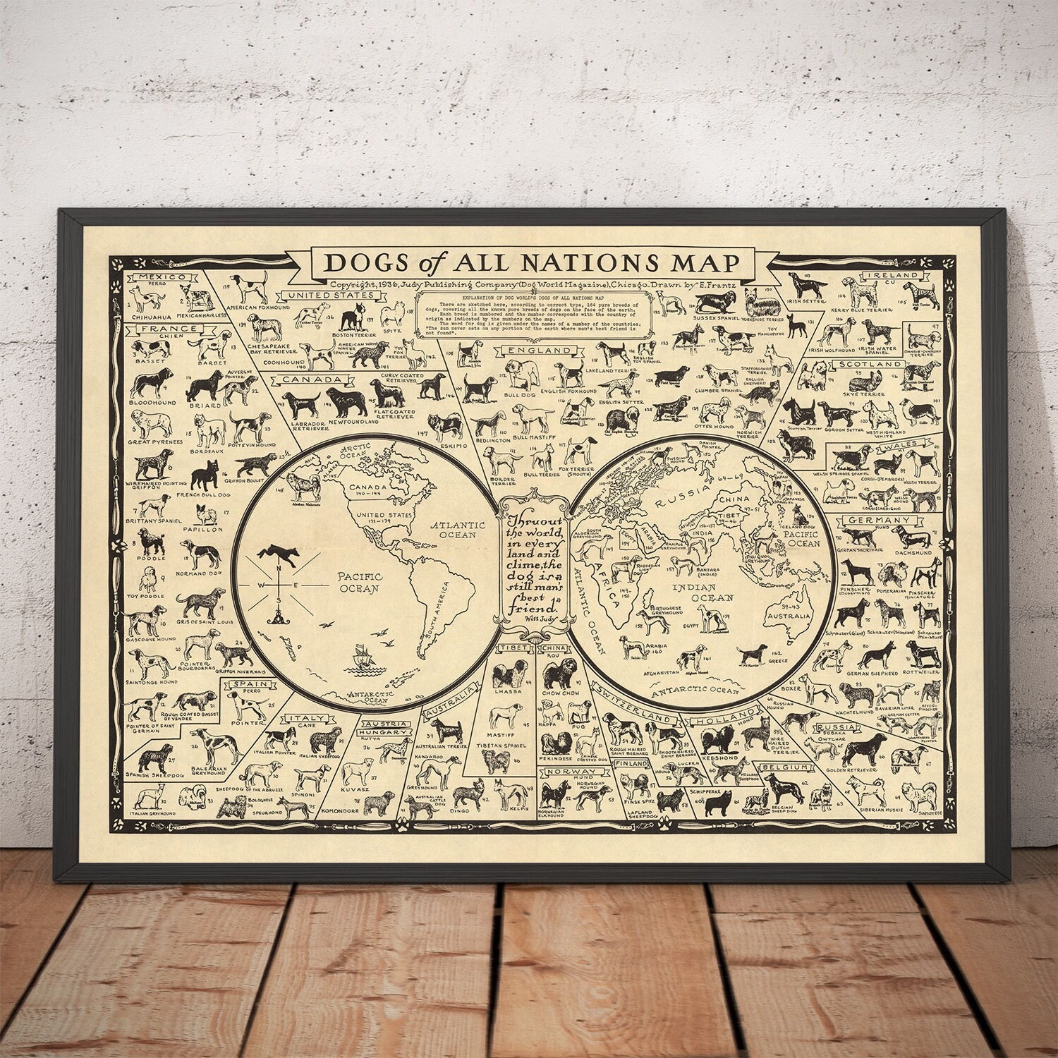 All Dogs In The World Chart