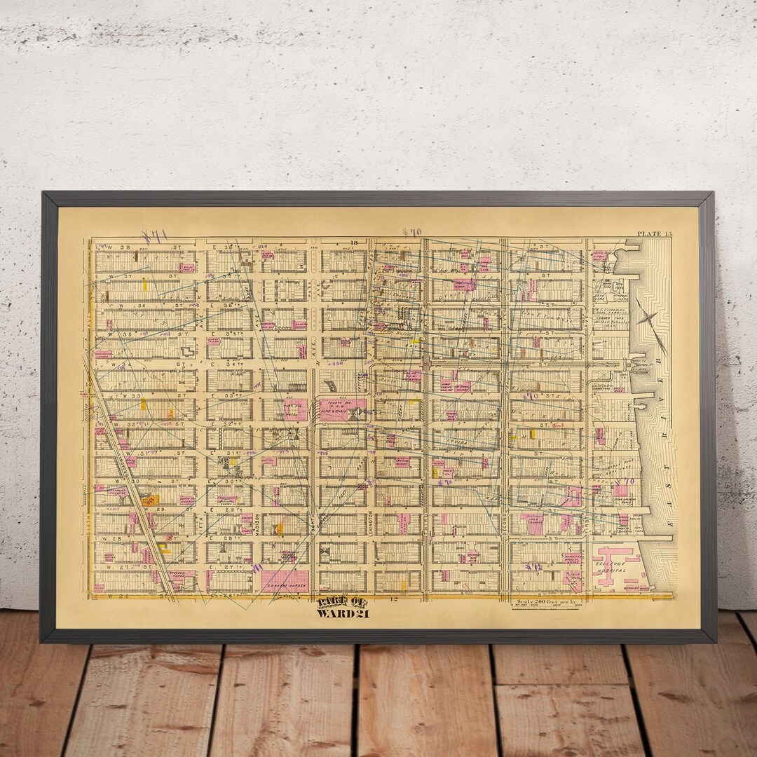 Old Map of Ward 21, NYC by Bromley, 1879: Bellevue Hospital, Concert ...