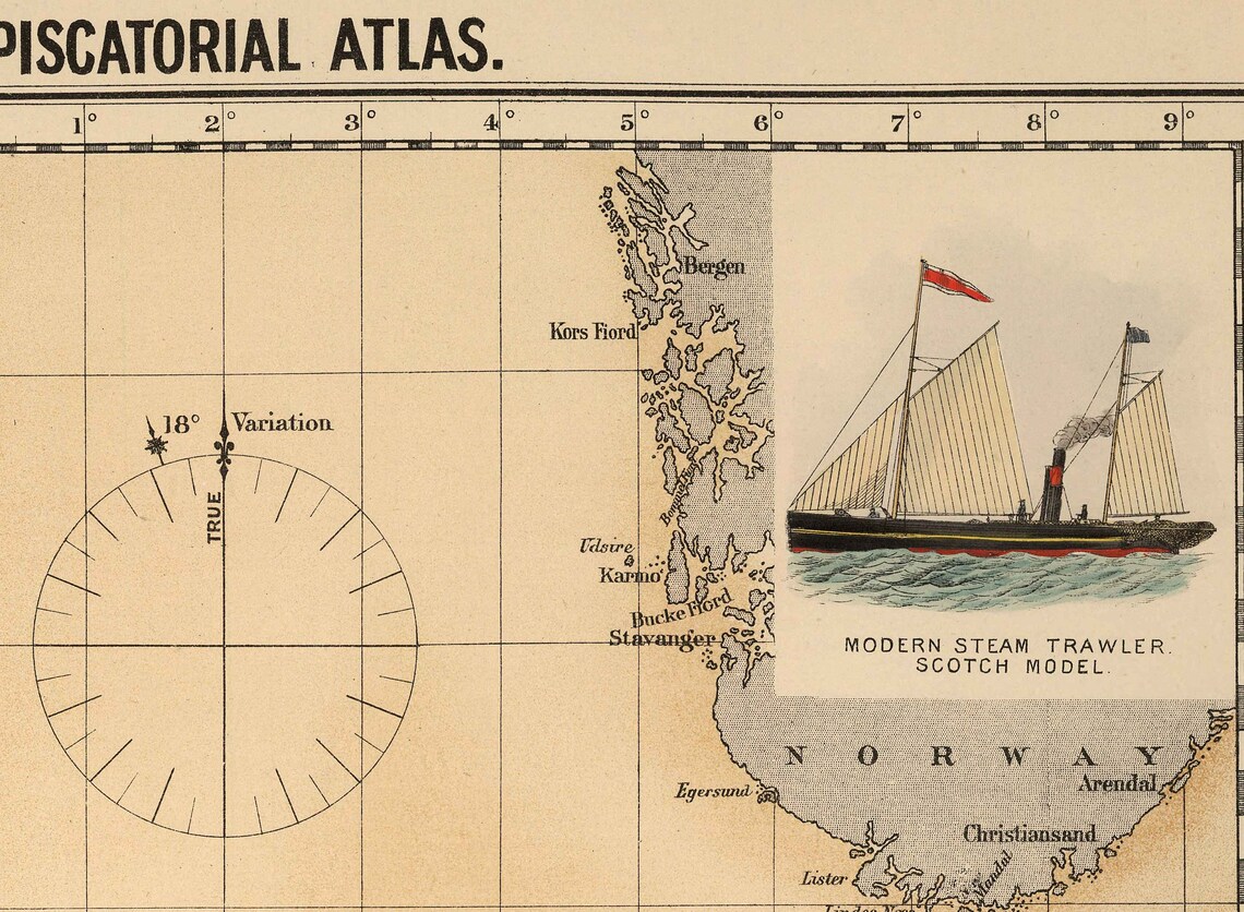 Old Haddock Fish Map of the North Sea, 1883 by O.T. Olsen - Haddock ...