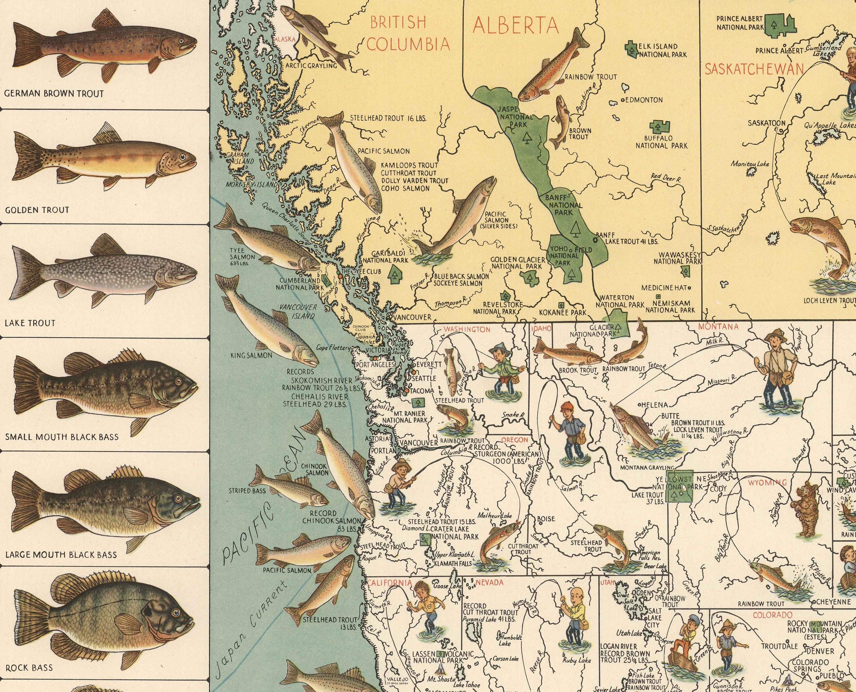 Old Pictorial Big Game Fish Map of the USA 1936 Alaska - Etsy
