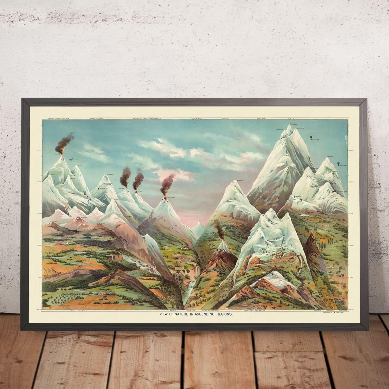 View of Nature in Ascending Regions by Yaggy, 1893 - Etsy