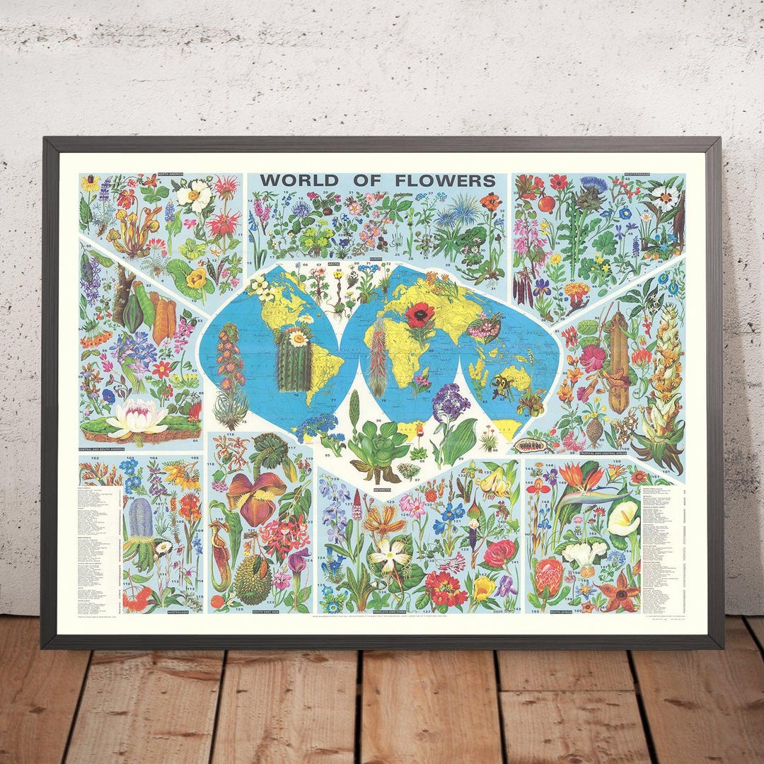 Old World Map of Flower Distribution by Everard, 1972: Botanical ...