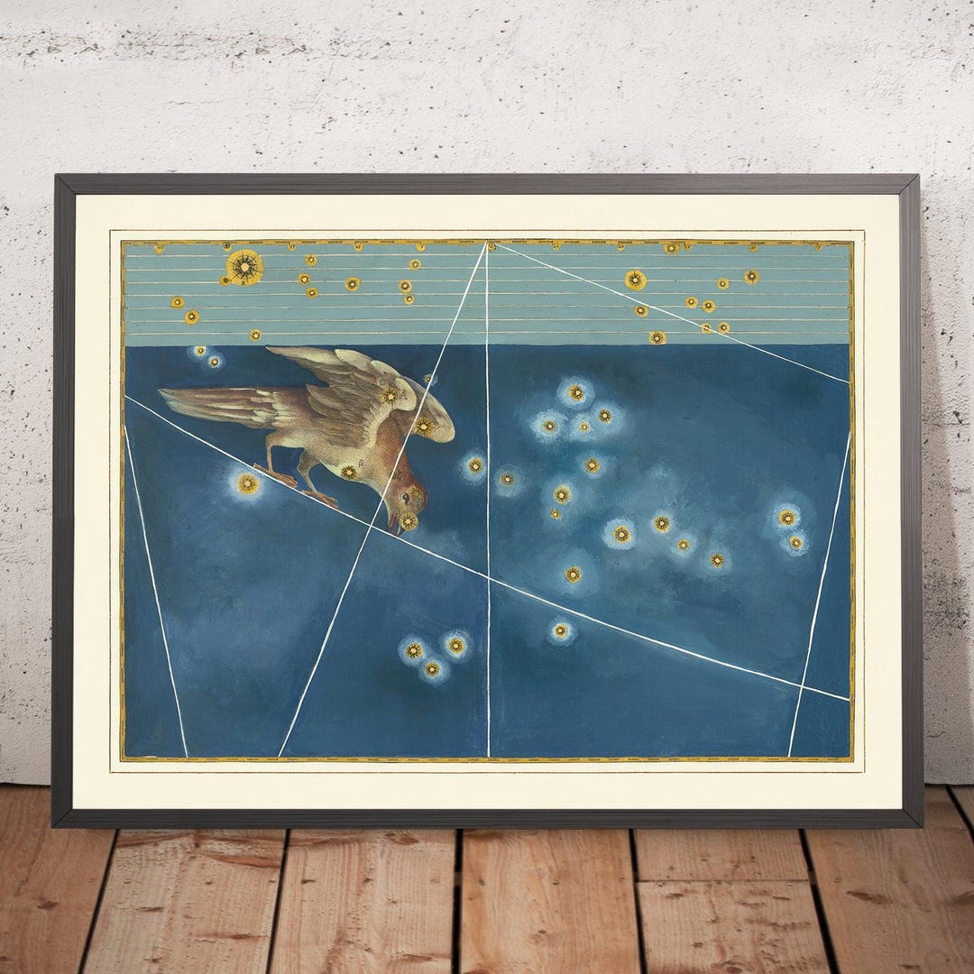 Old Star Map of Corvus by Johann Bayer, 1603 - Celestial Constellation ...
