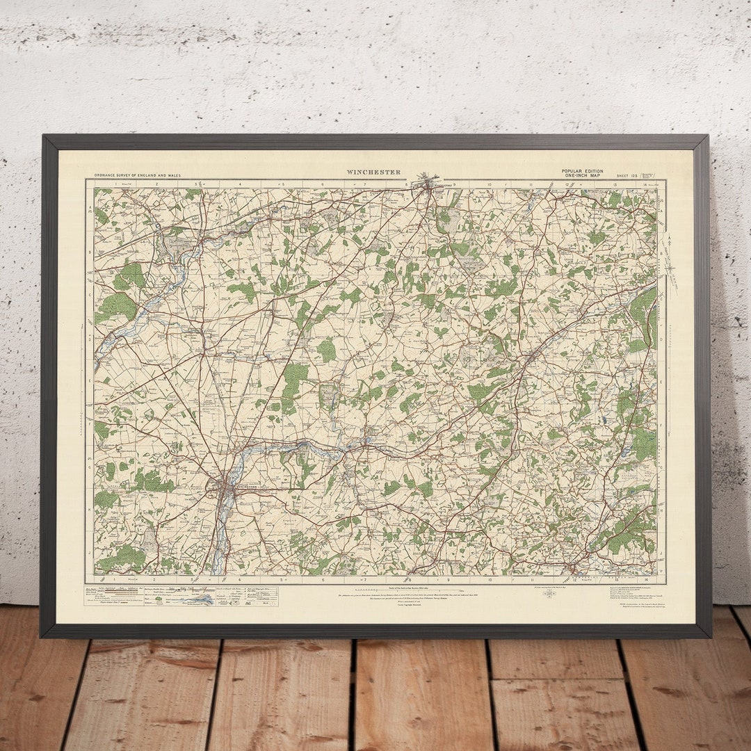 Old Ordnance Survey Map, Sheet 123 - Winchester, 1925: Basingstoke ...