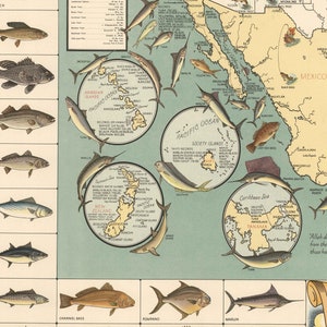 Old Pictorial Big Game Fish Map of the USA, 1936 Alaska, Florida ...