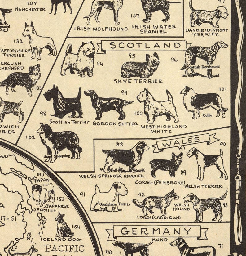 Old Dog Map 1936 World Atlas Chart of Breeds Terrier - Etsy