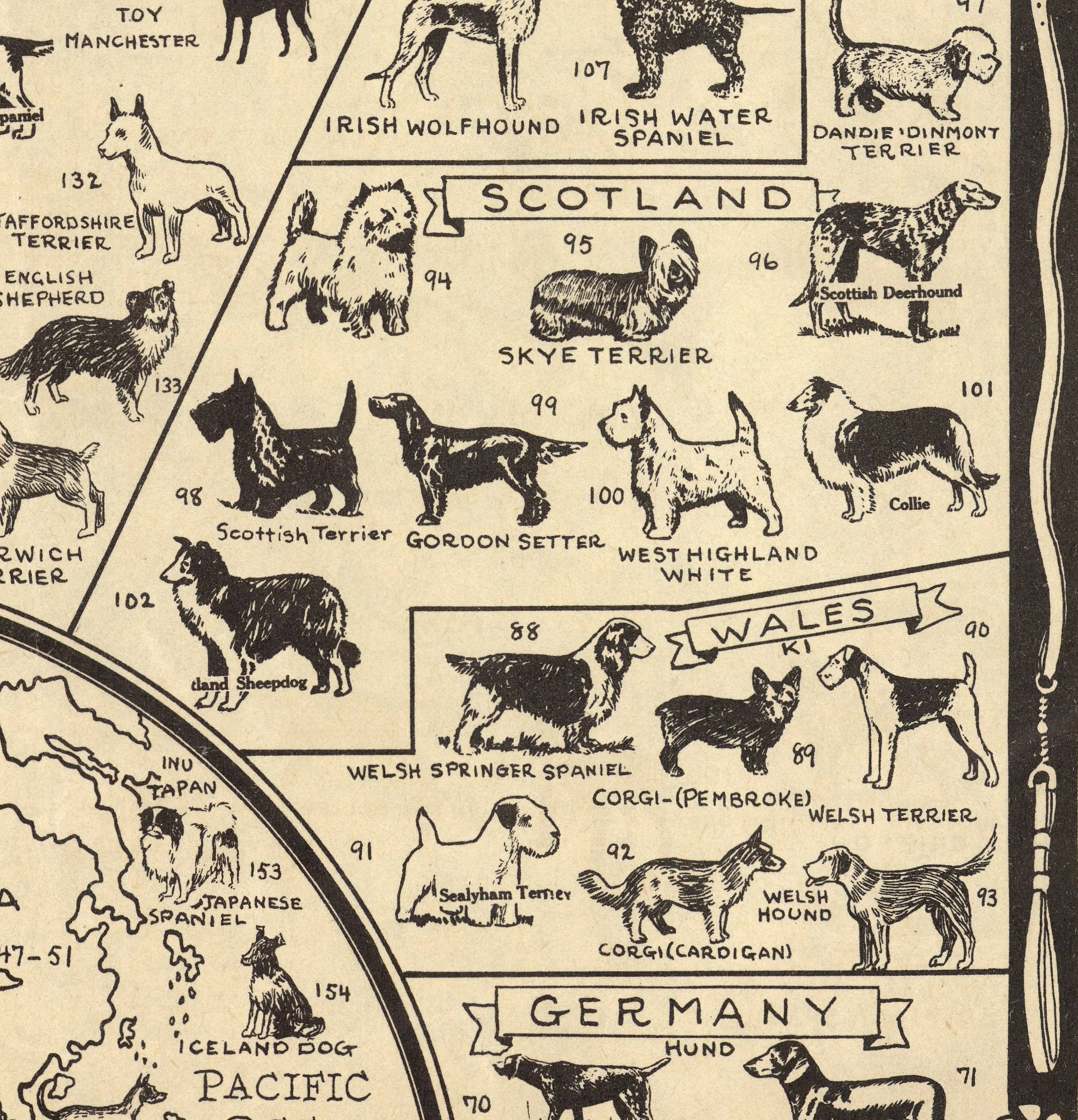Old Dog Map 1936 World Atlas Chart of Breeds Terrier - Etsy UK