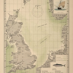 Old Mackerel Fish Map of the North Sea, 1883 by O.T. Olsen - Mackerel ...