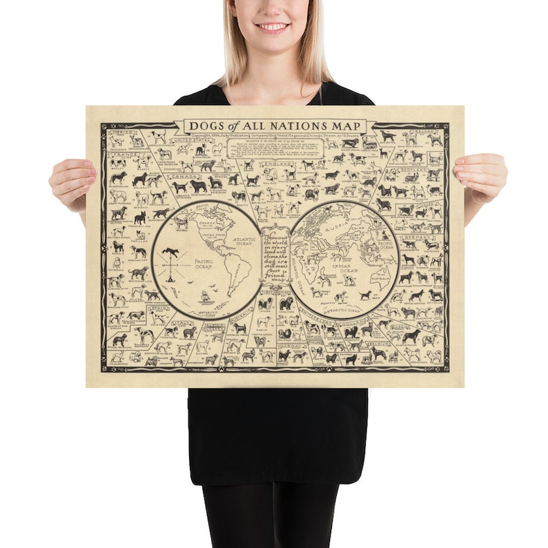 Old Dog Map 1936 World Atlas Chart of Breeds Terrier - Etsy