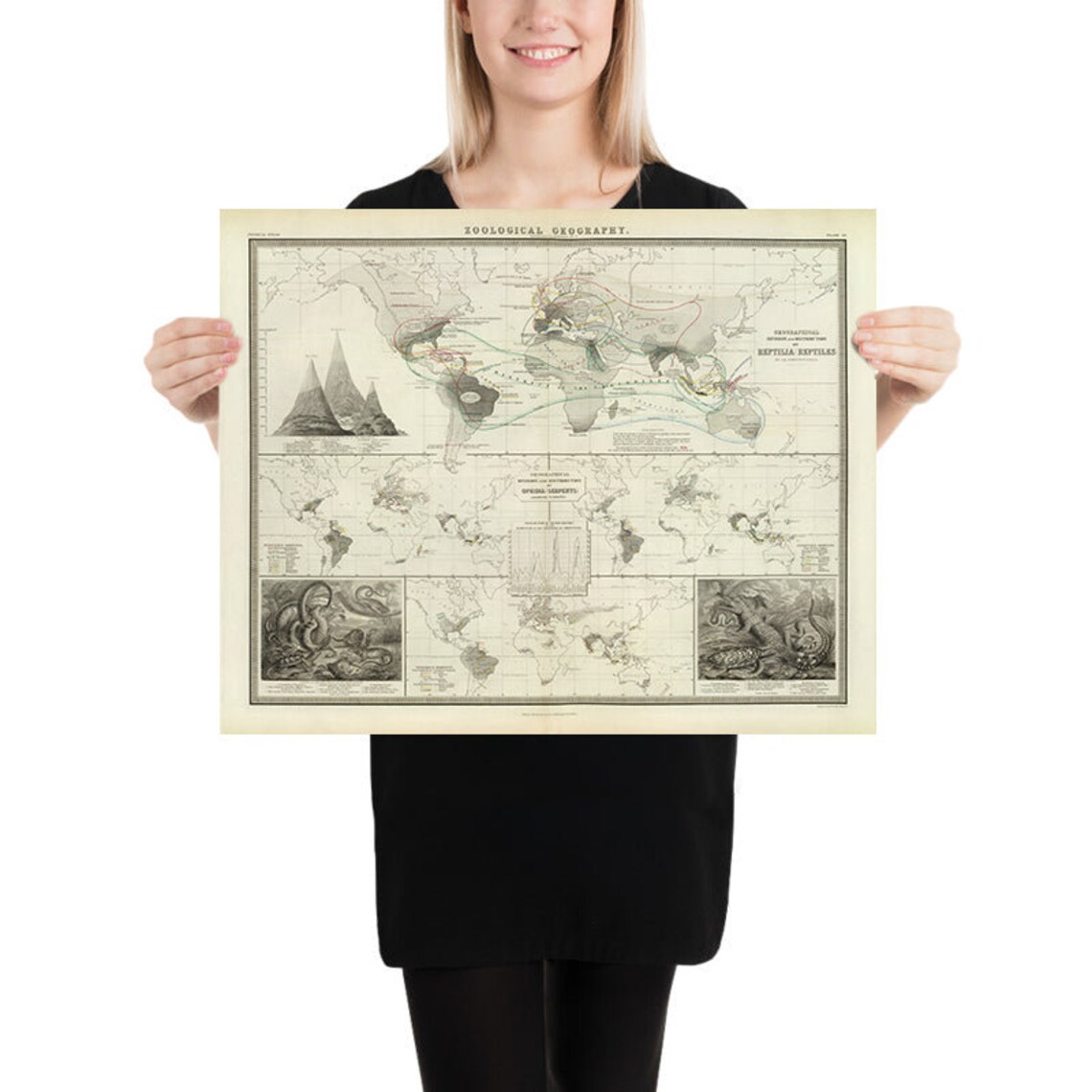 Old World Map of Reptile Distribution by Johnston, 1856: Snakes ...