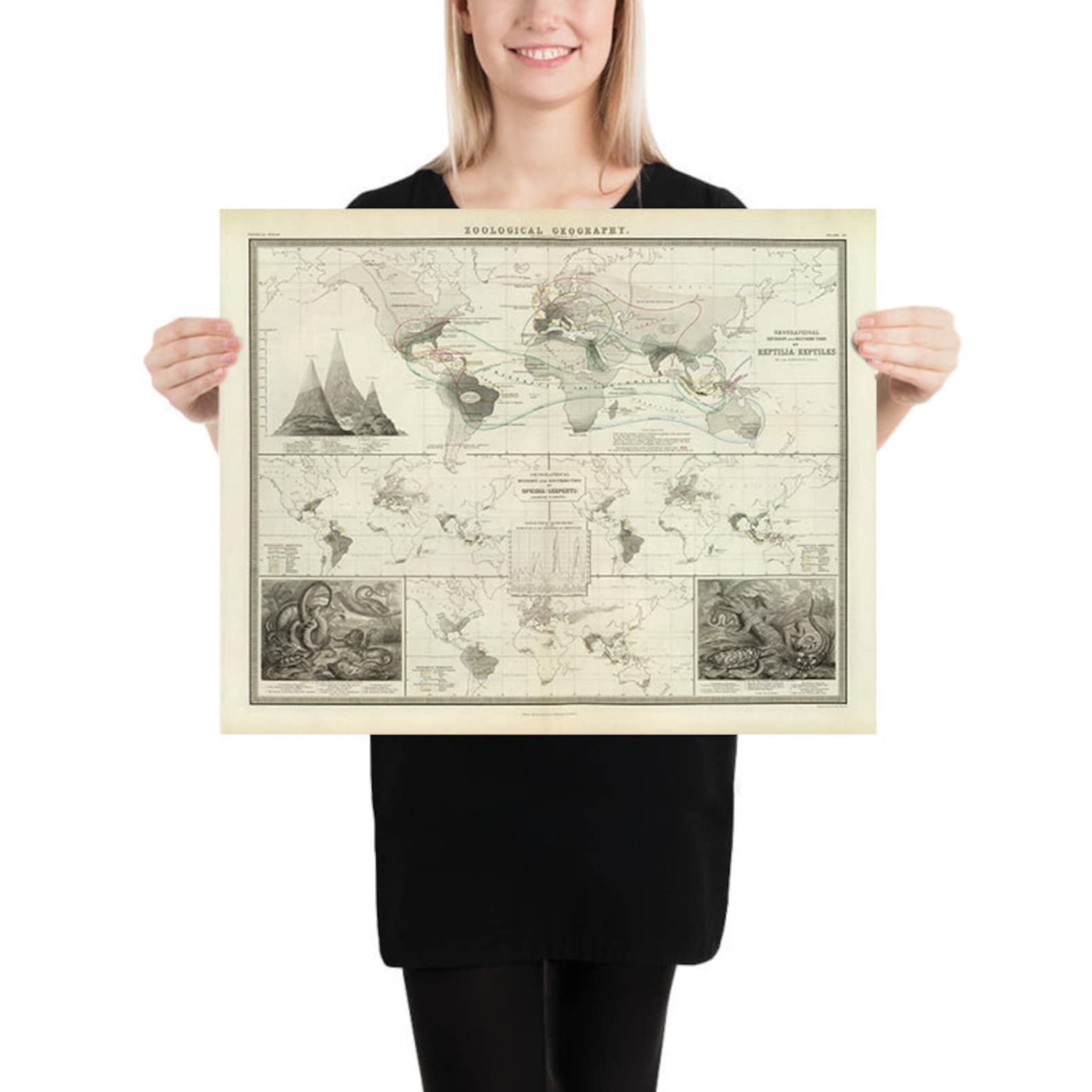 Old World Map of Reptile Distribution by Johnston, 1856: Snakes ...
