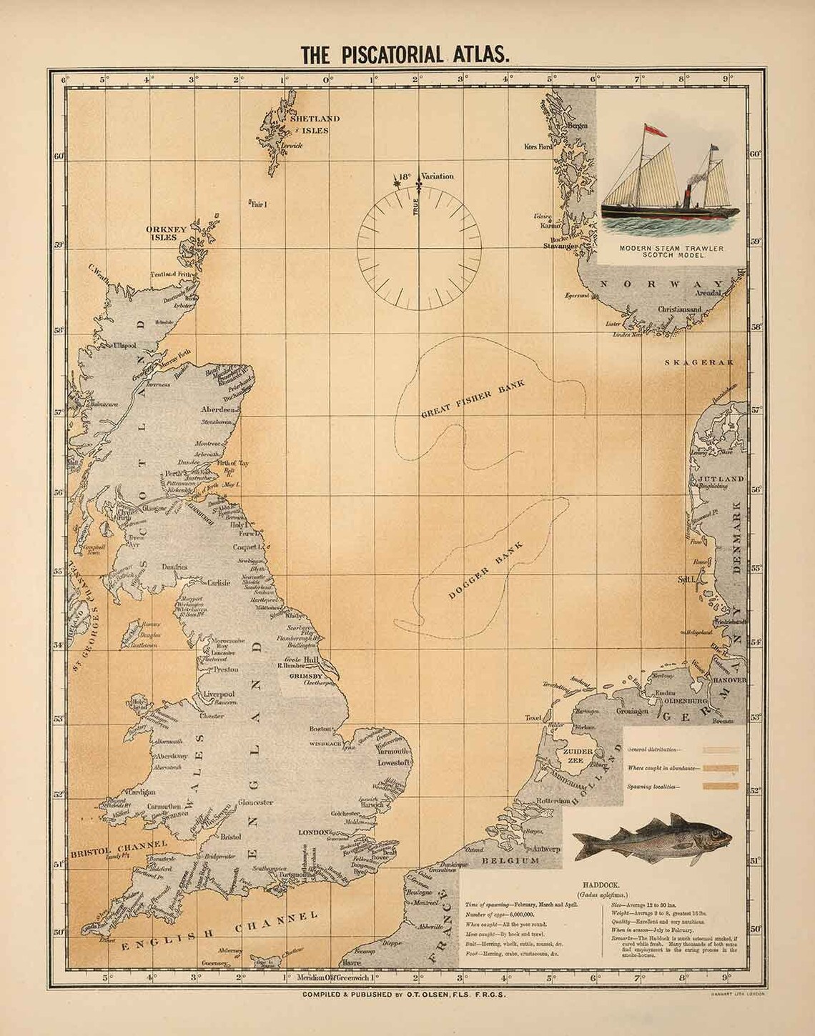 Old Haddock Fish Map of the North Sea, 1883 by O.T. Olsen - Haddock ...