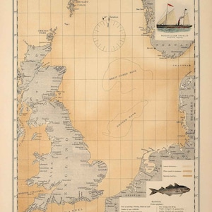 Old Haddock Fish Map of the North Sea 1883 by O.T. Olsen - Etsy