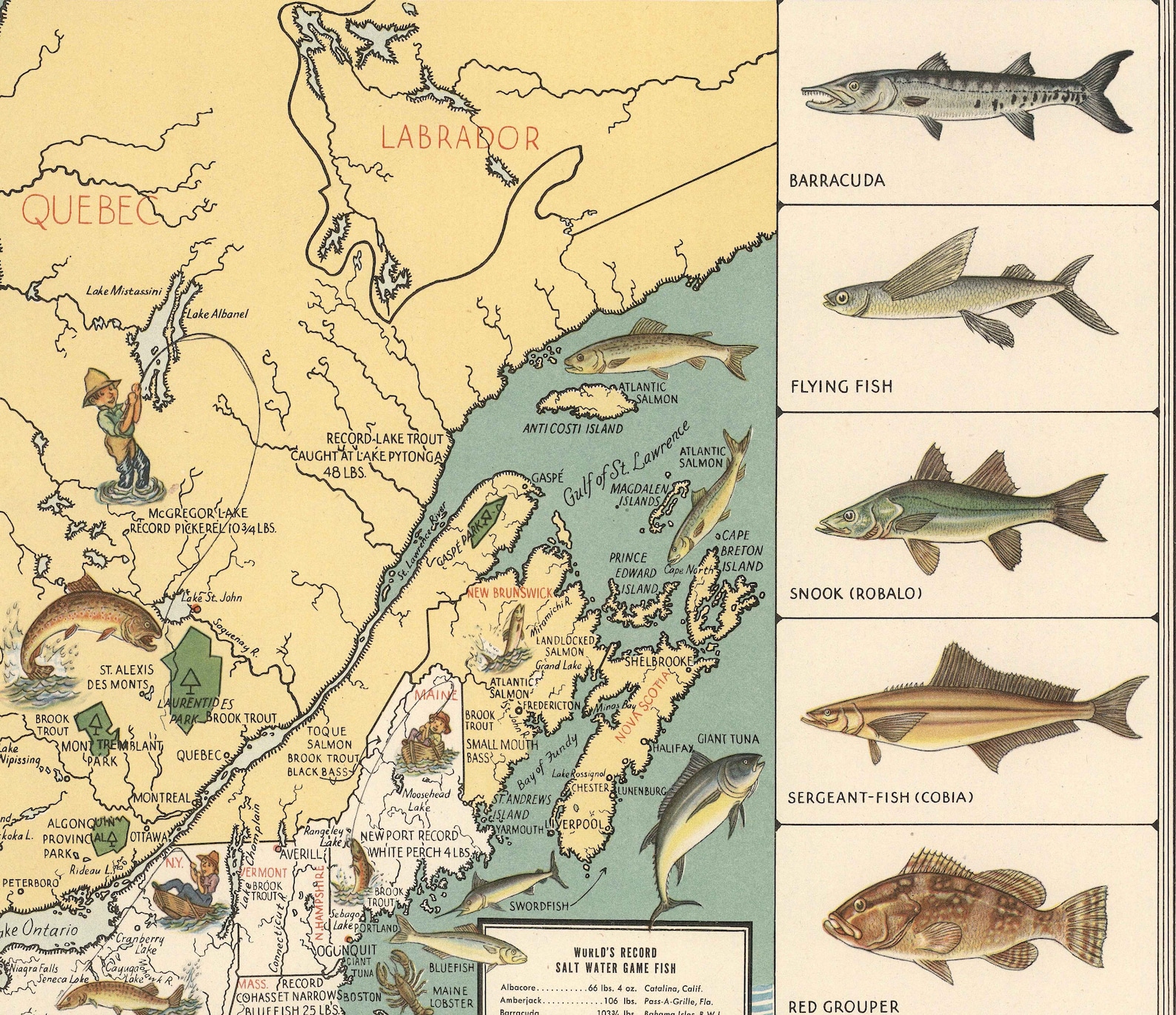 Old Pictorial Big Game Fish Map of the USA, 1936 - Alaska, Florida ...