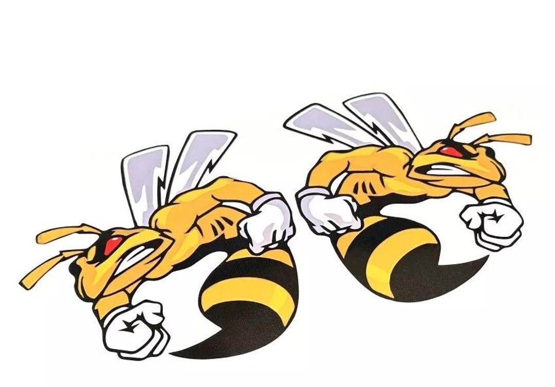 Pair of Angry SUPER BEE STICKER Decals Ski Decals Doo Trailer Rumble ...