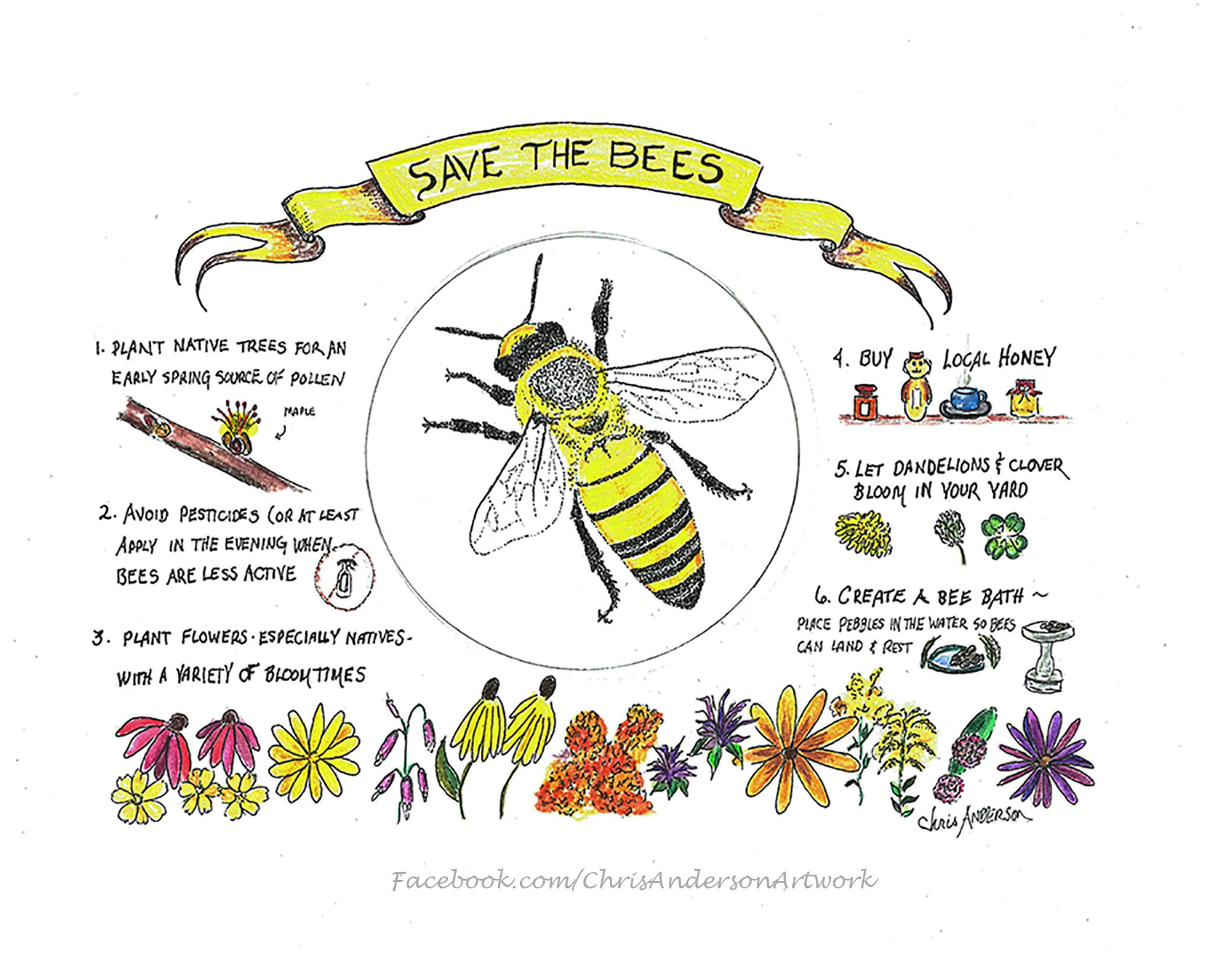 Save the Bees, Pollinators, Native Plants, Wildflowers, Ecology ...