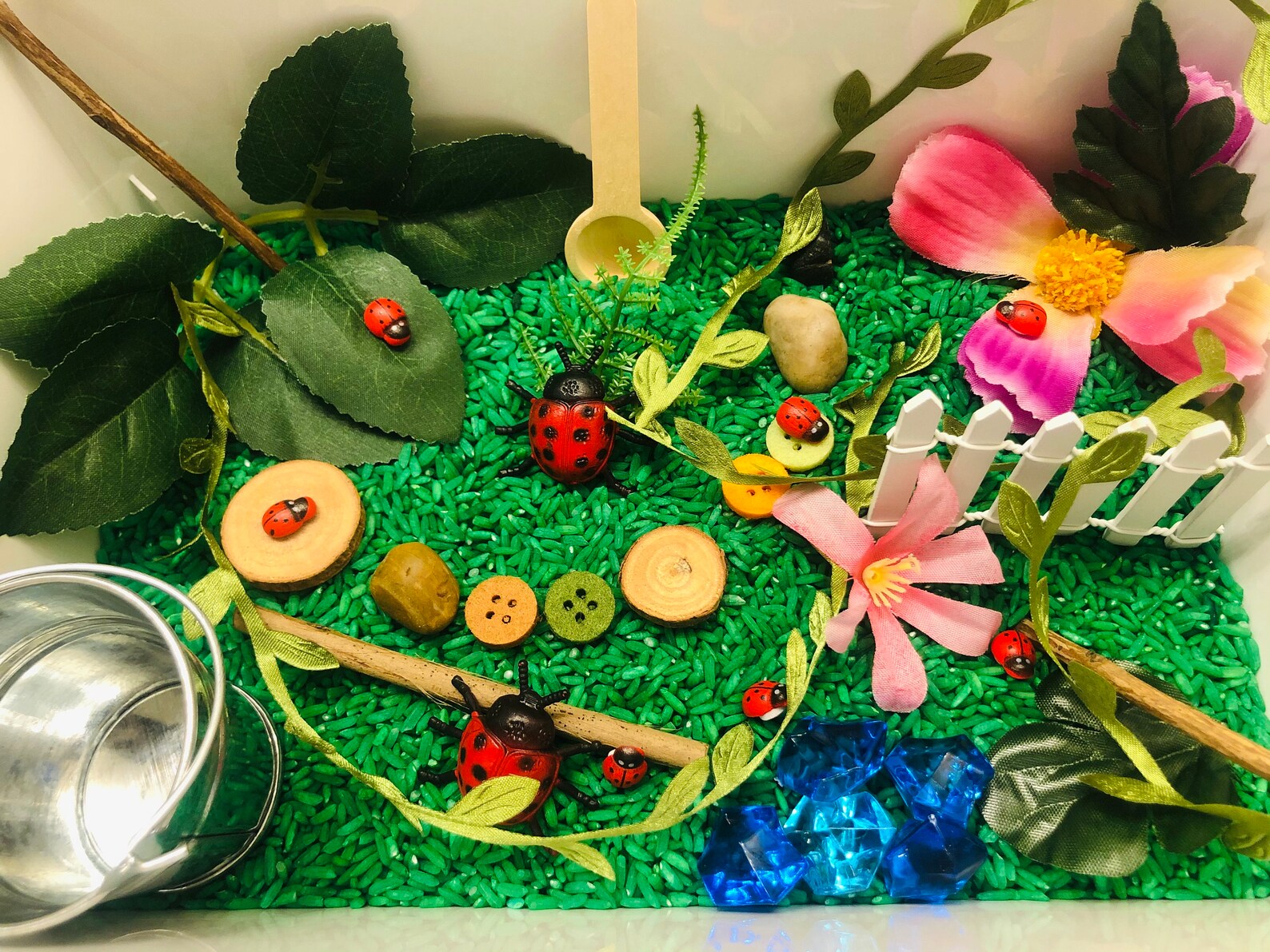 Mini Ladybug Sensory Bin - Etsy