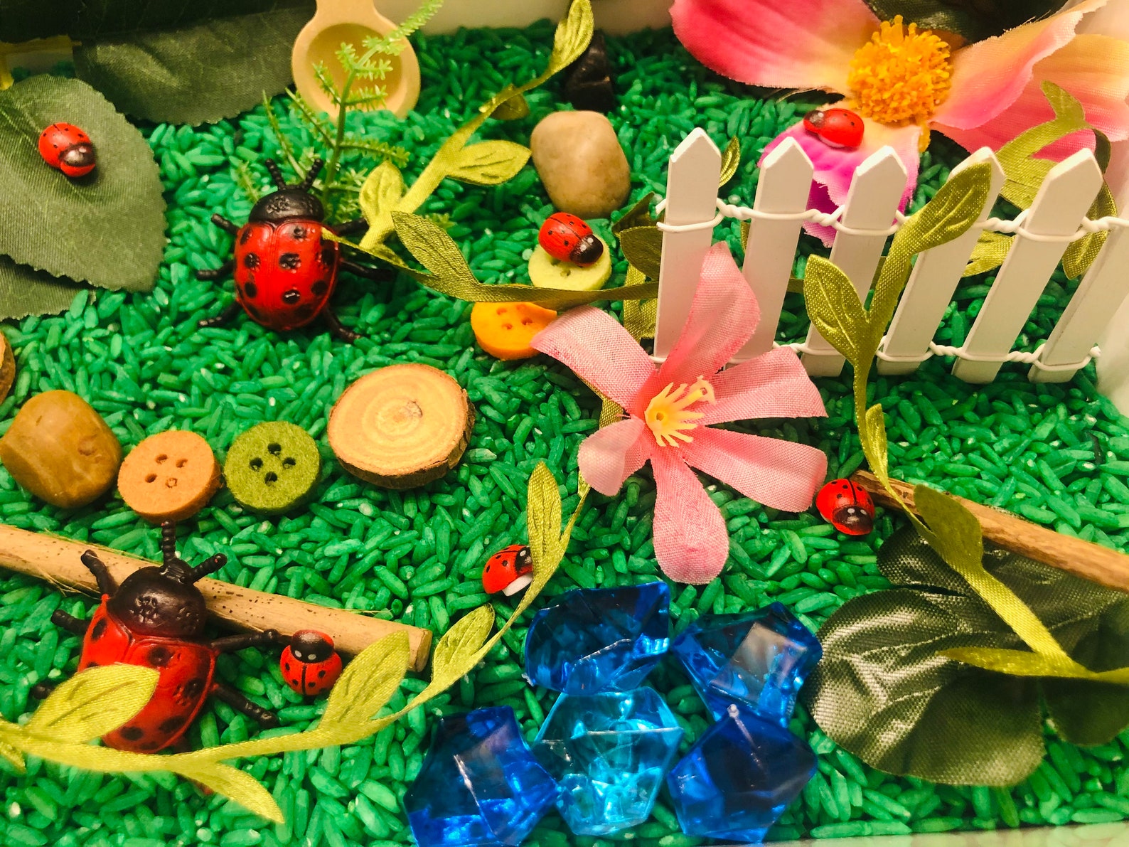 Mini Ladybug Sensory Bin - Etsy