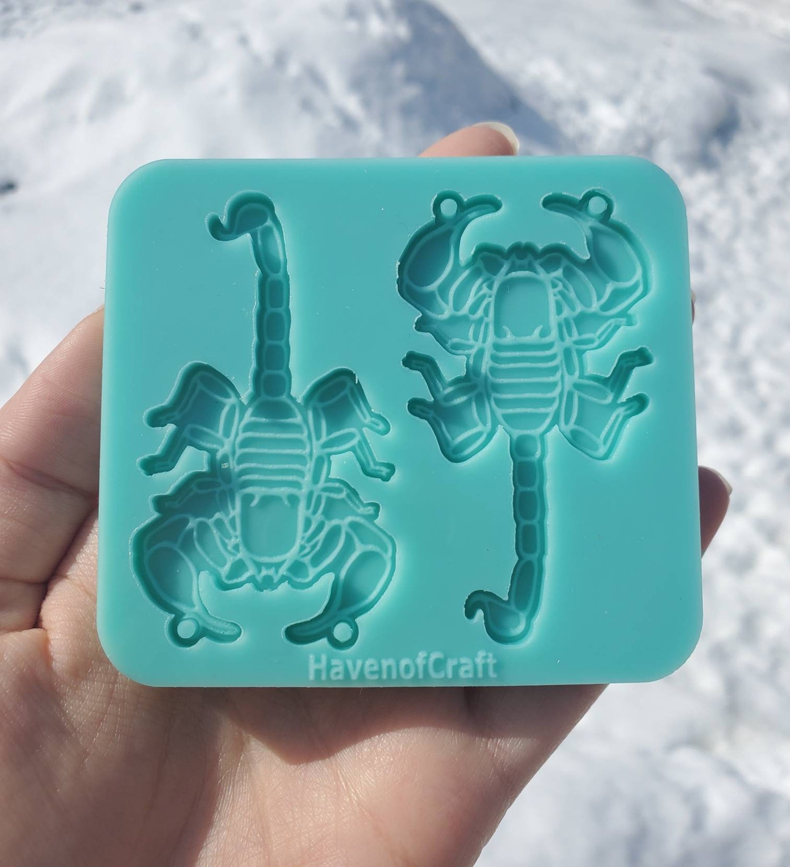 Made to Order Scorpion Earring Mold Shiny Silicone Mold | Etsy